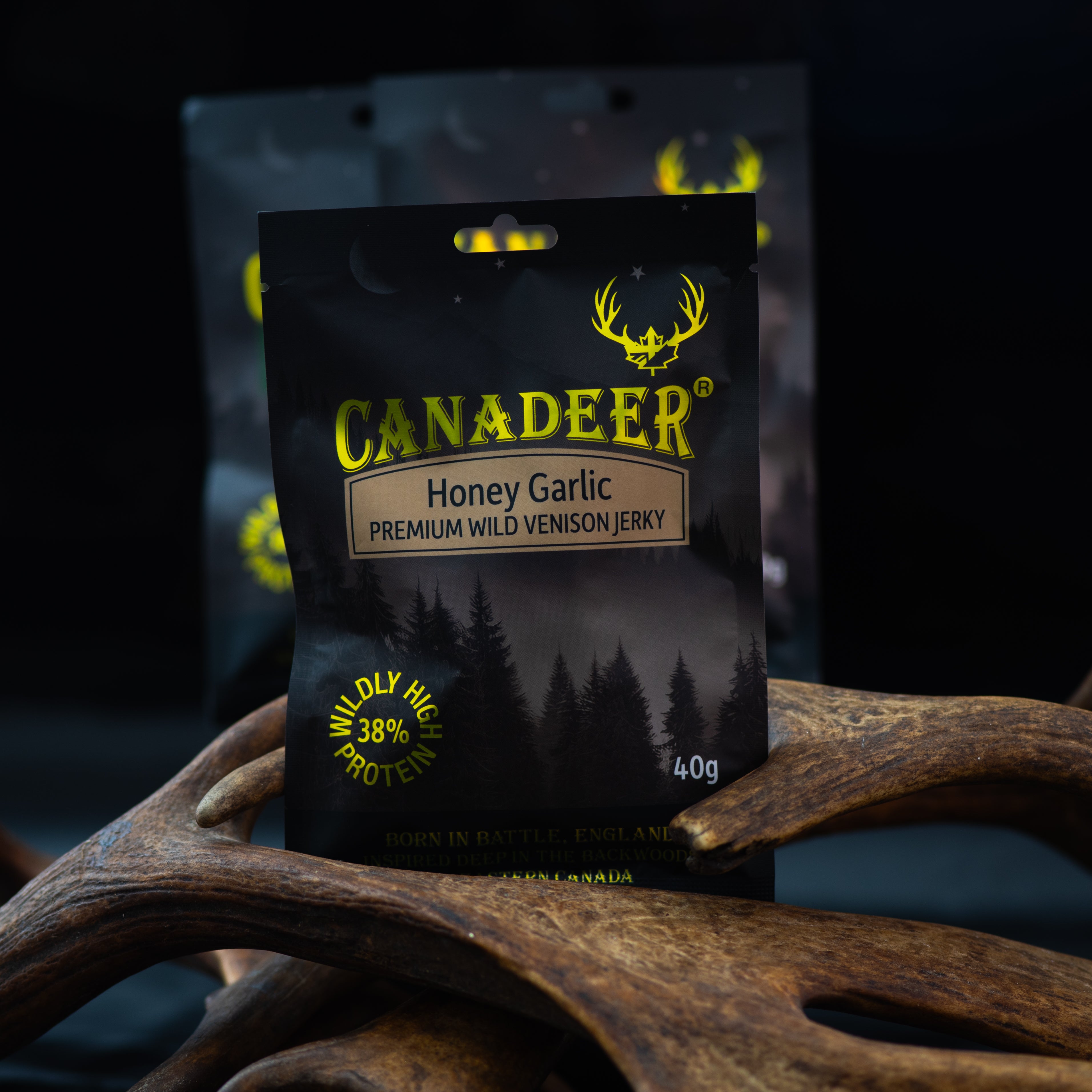 Honey Garlic - 3x 40g – Canadeer